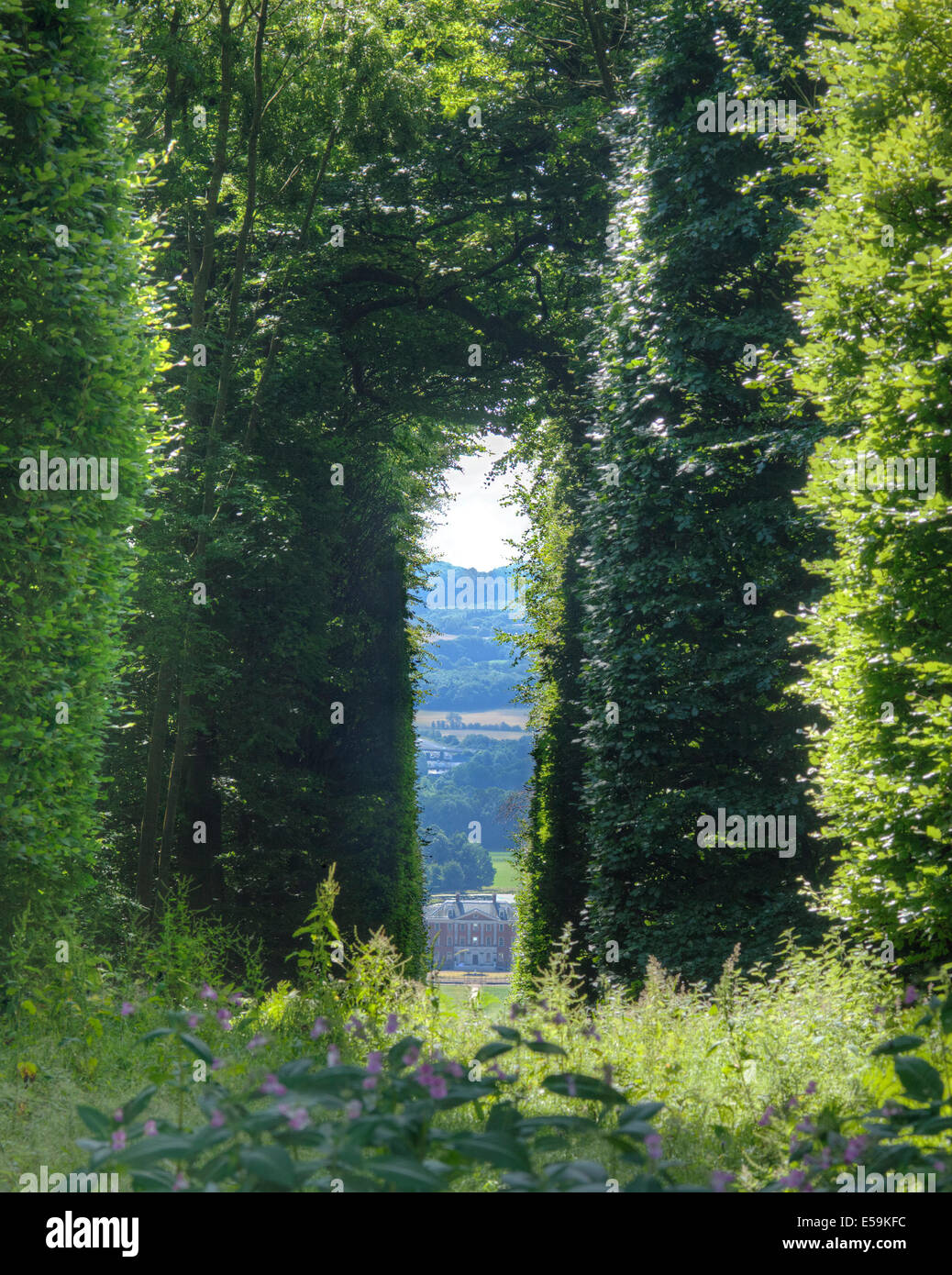 Gap in trees called the Keyhole looking towards Chevening House Stock ...