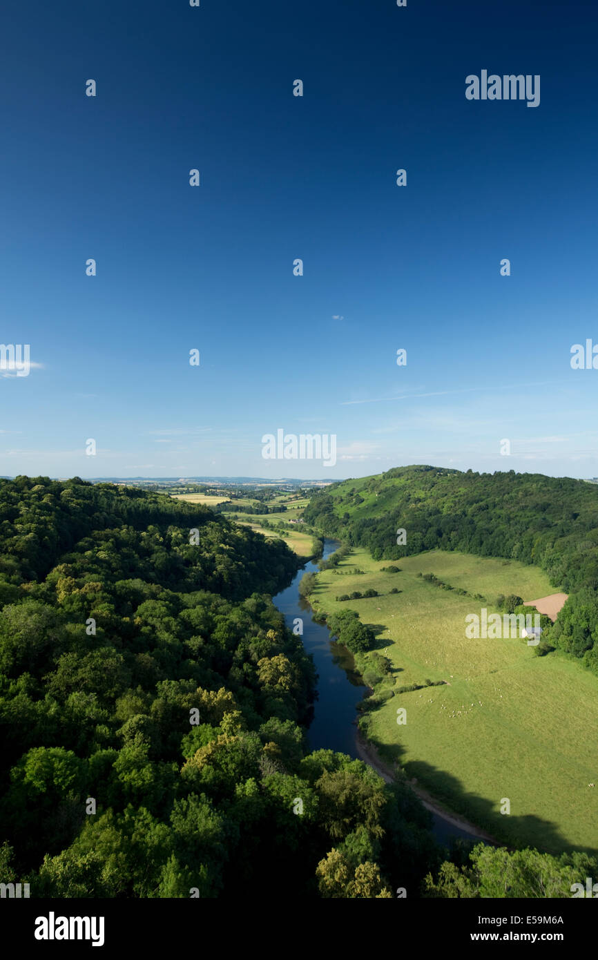 A view from Symonds Yat Rock or the River Wye Valley Stock Photo - Alamy