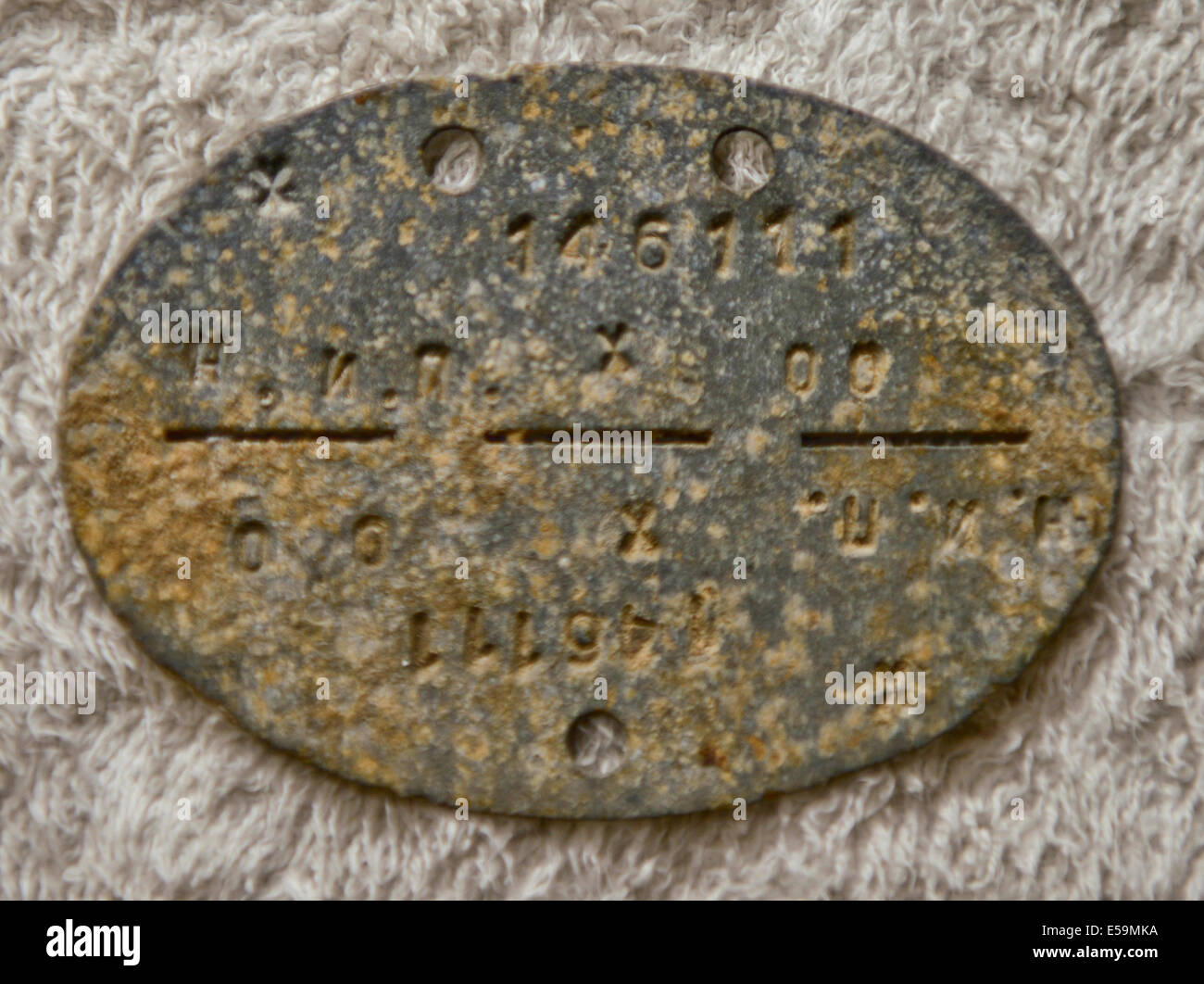 Picture By:Jules Annan Picture Shows:Nazi SS identification dog tags ...
