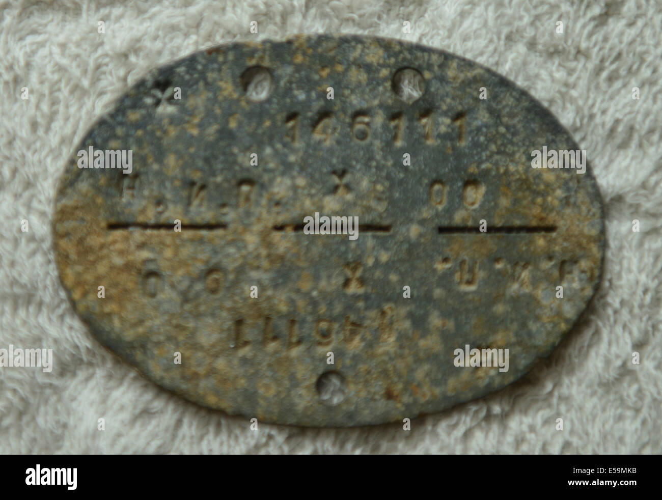 Picture By:Jules Annan Picture Shows:Nazi SS identification dog tags ...