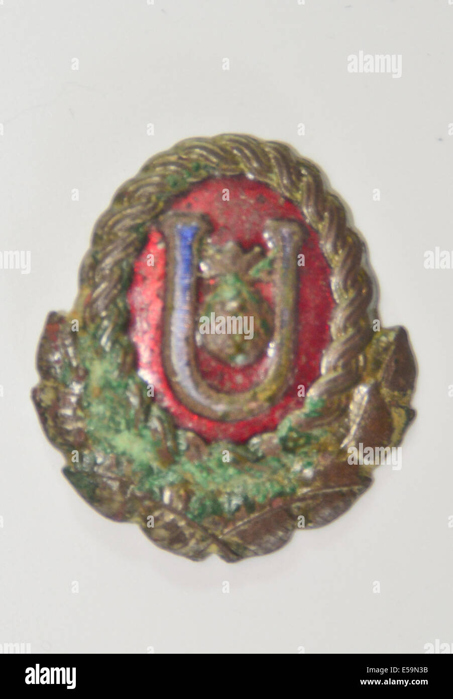 Picture By:Jules Annan Picture Shows:GROUND DUG ORIGINAL USTASHA BLACK ...