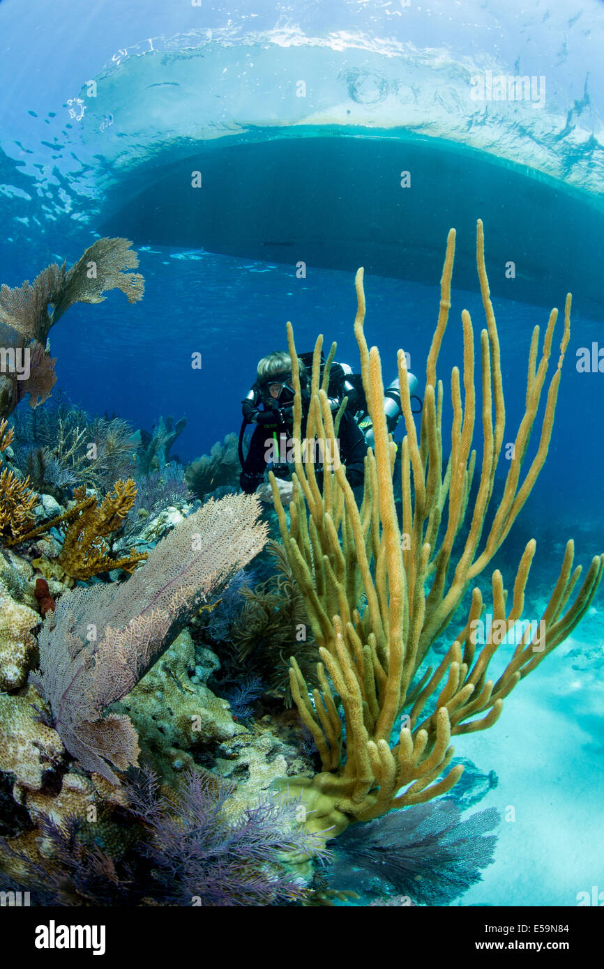 Scuba technical diving hi-res stock photography and images - Alamy