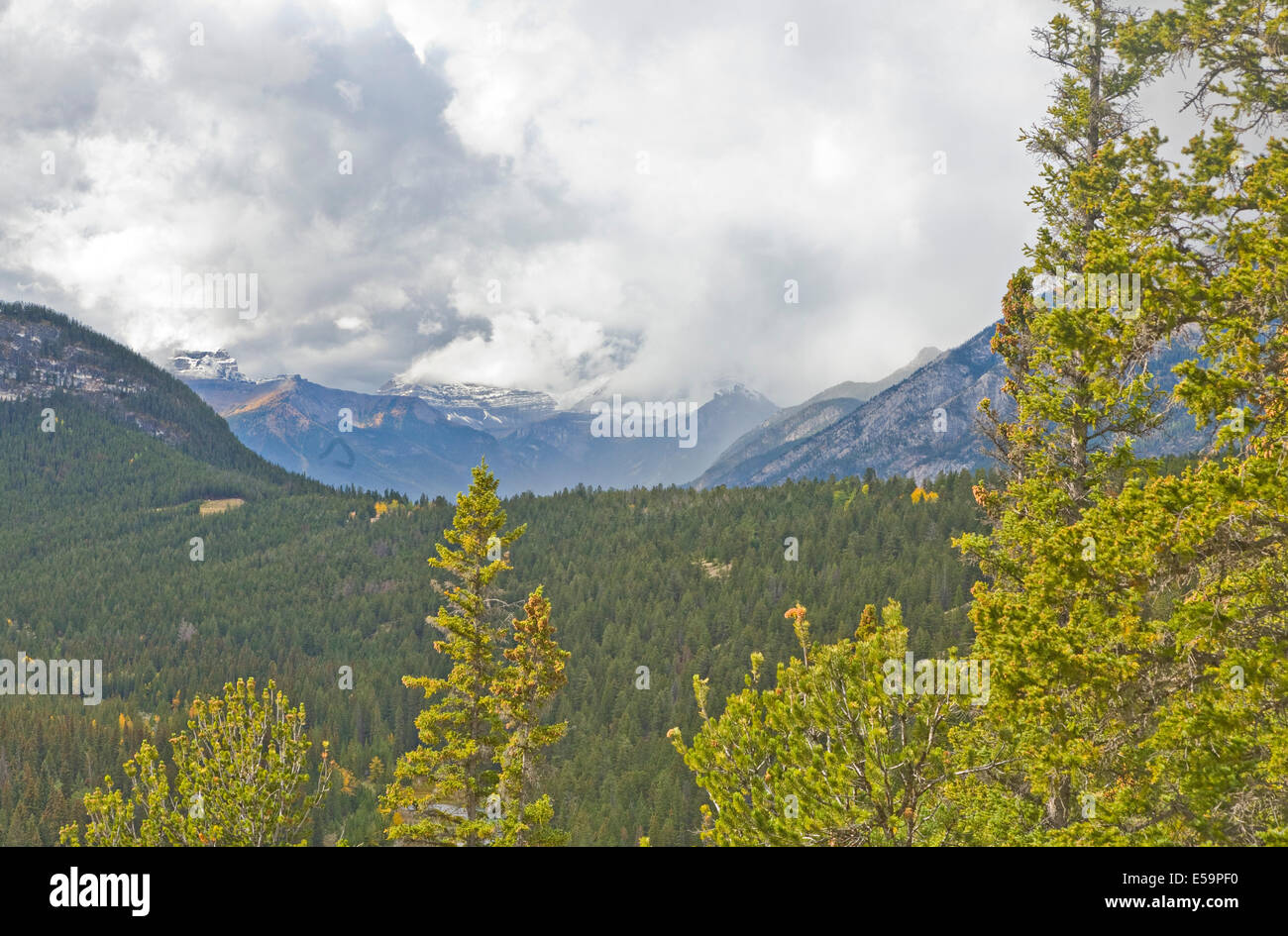 Rainy cloudy misty day near Banff in Banff National Park Alberta Canada ...