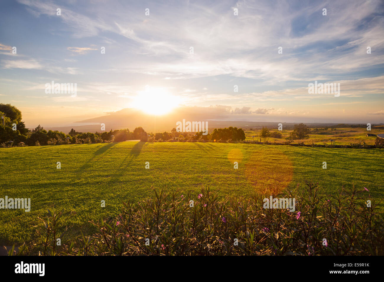 Sunset Sky over Green Grass Lawn Stock Photo - Alamy
