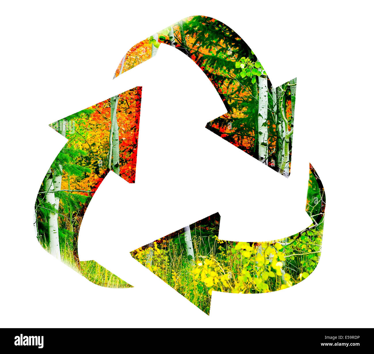 Recycle Symbol with View of forest of autumn trees on mountainside ...