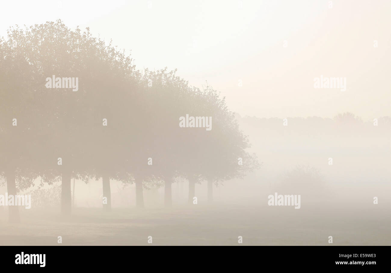 Fog, Landscape, Stockholm, Sweden, Europe, Estocolmo Stock Photo - Alamy