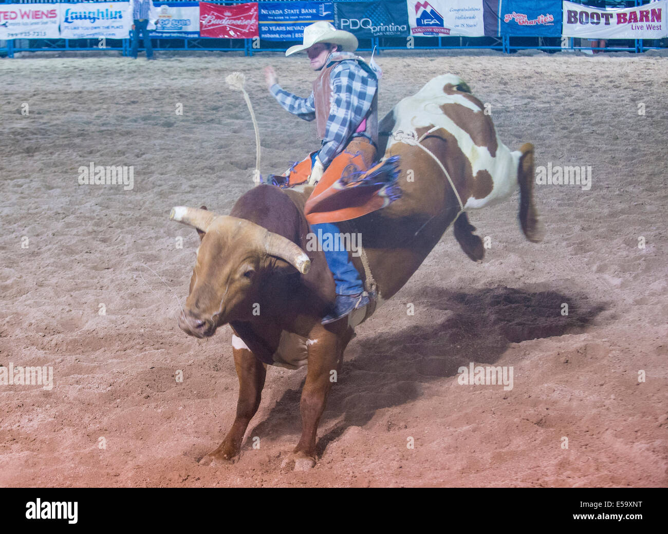 Cowboy Participating in a Bull riding Competition at the Helldorado ...
