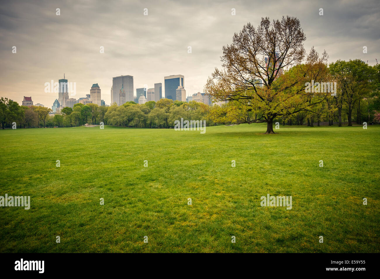 Central park at rainy day Stock Photo - Alamy