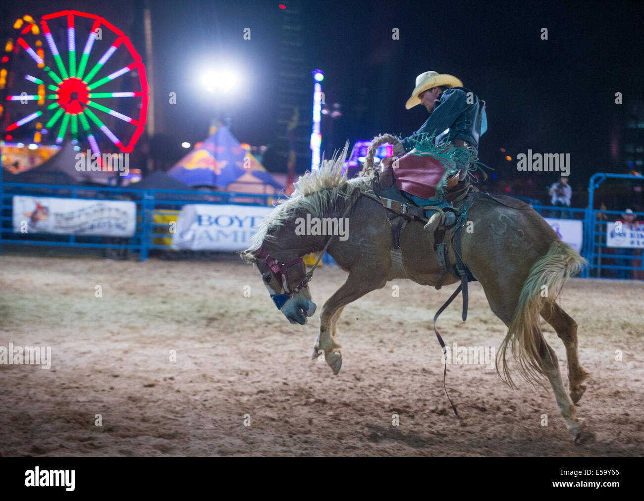 Cowboy Participating in a Bucking Horse Competition at the Helldorado ...