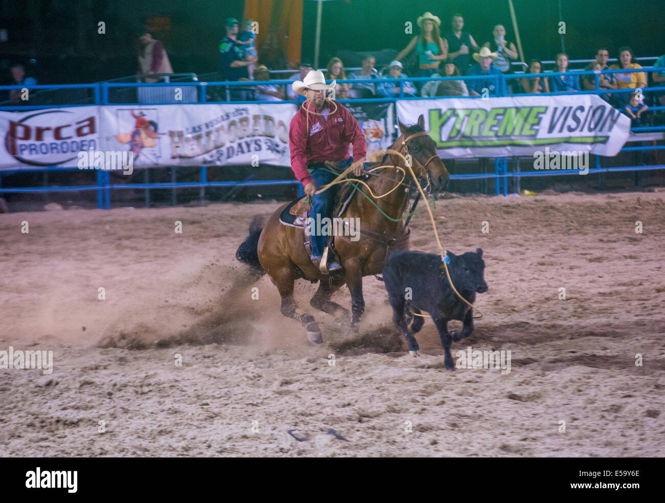 Cowboys Participating in a Calf roping Competition at the Helldorado ...
