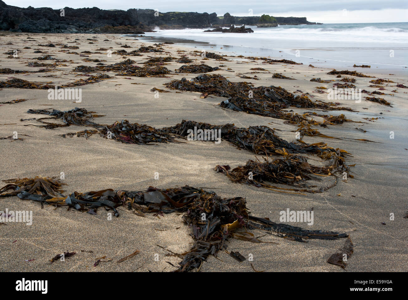 Skardsvik Beach - Snaefellsnes Peninsula - West Iceland Stock Photo - Alamy