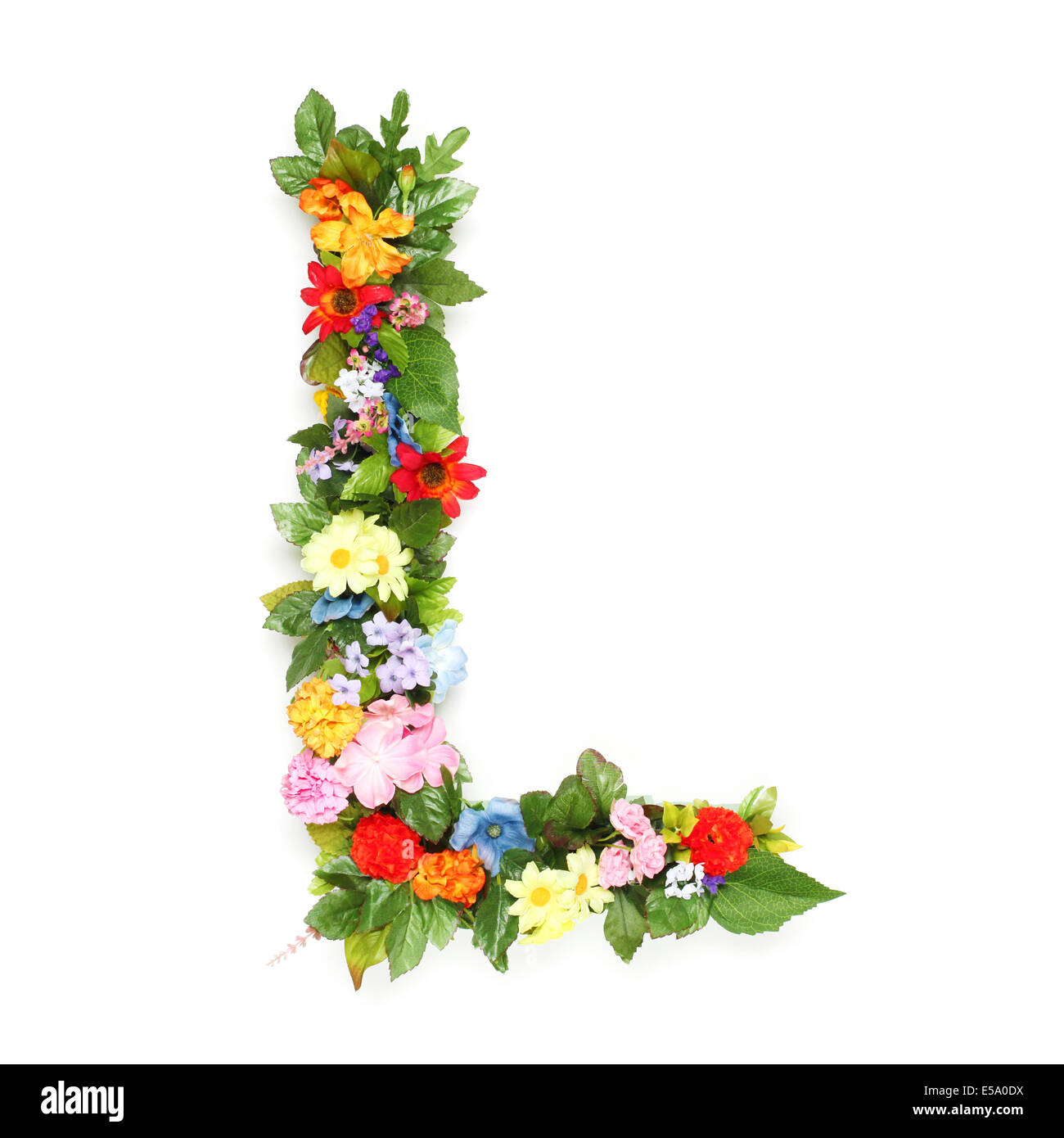 Letter l leaves hi-res stock photography and images - Alamy