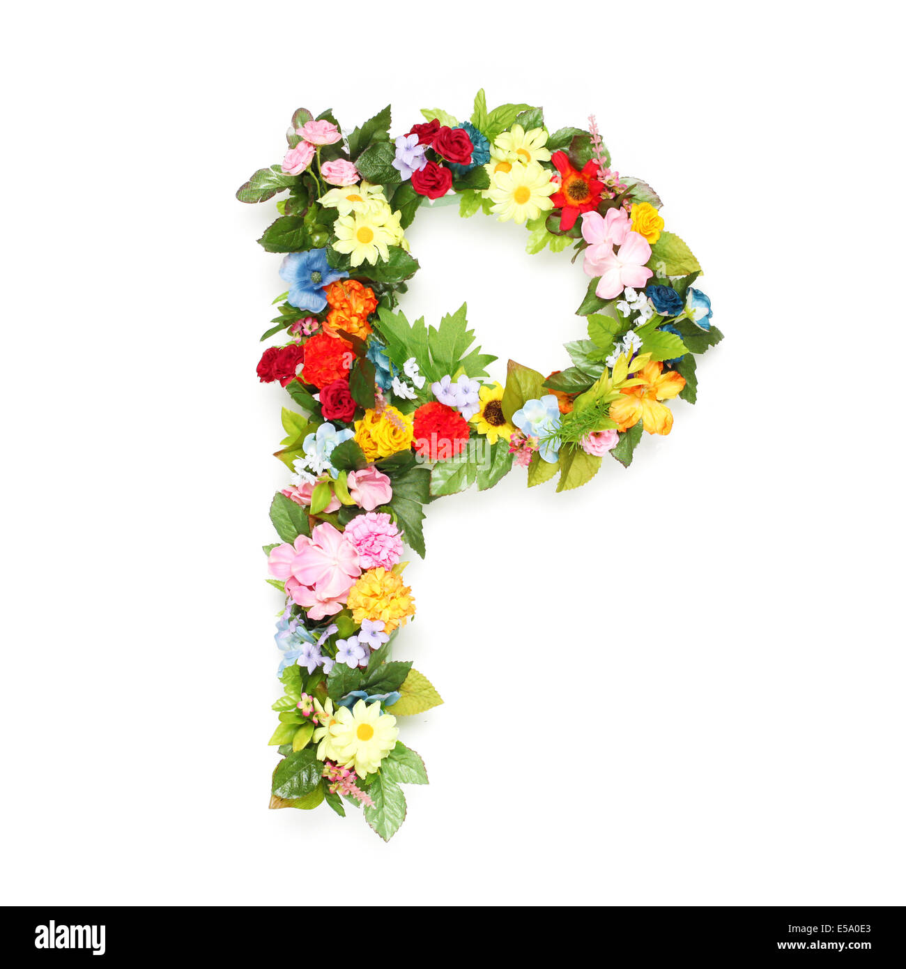 Letter p flowers hi-res stock photography and images - Alamy