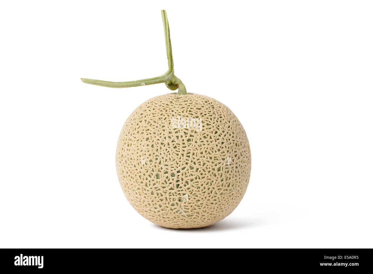 Melon surface hi-res stock photography and images - Alamy