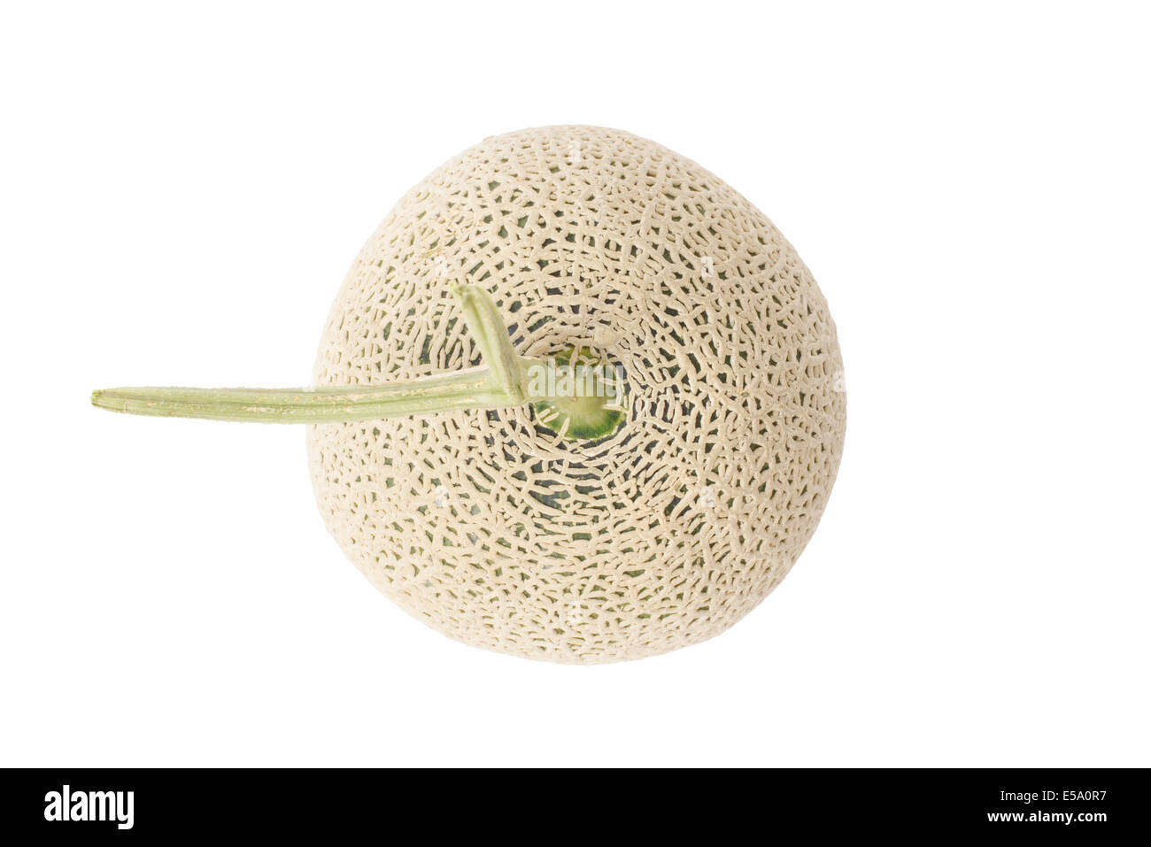 closeup of fresh melon, isolated on white Stock Photo - Alamy