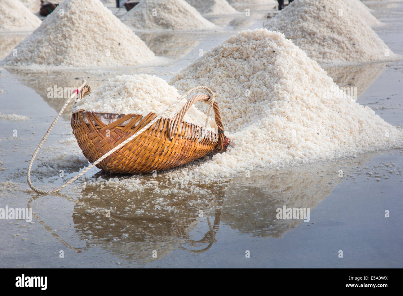 Heap of sea salt in a field prepared for harvest in Thailand Stock ...