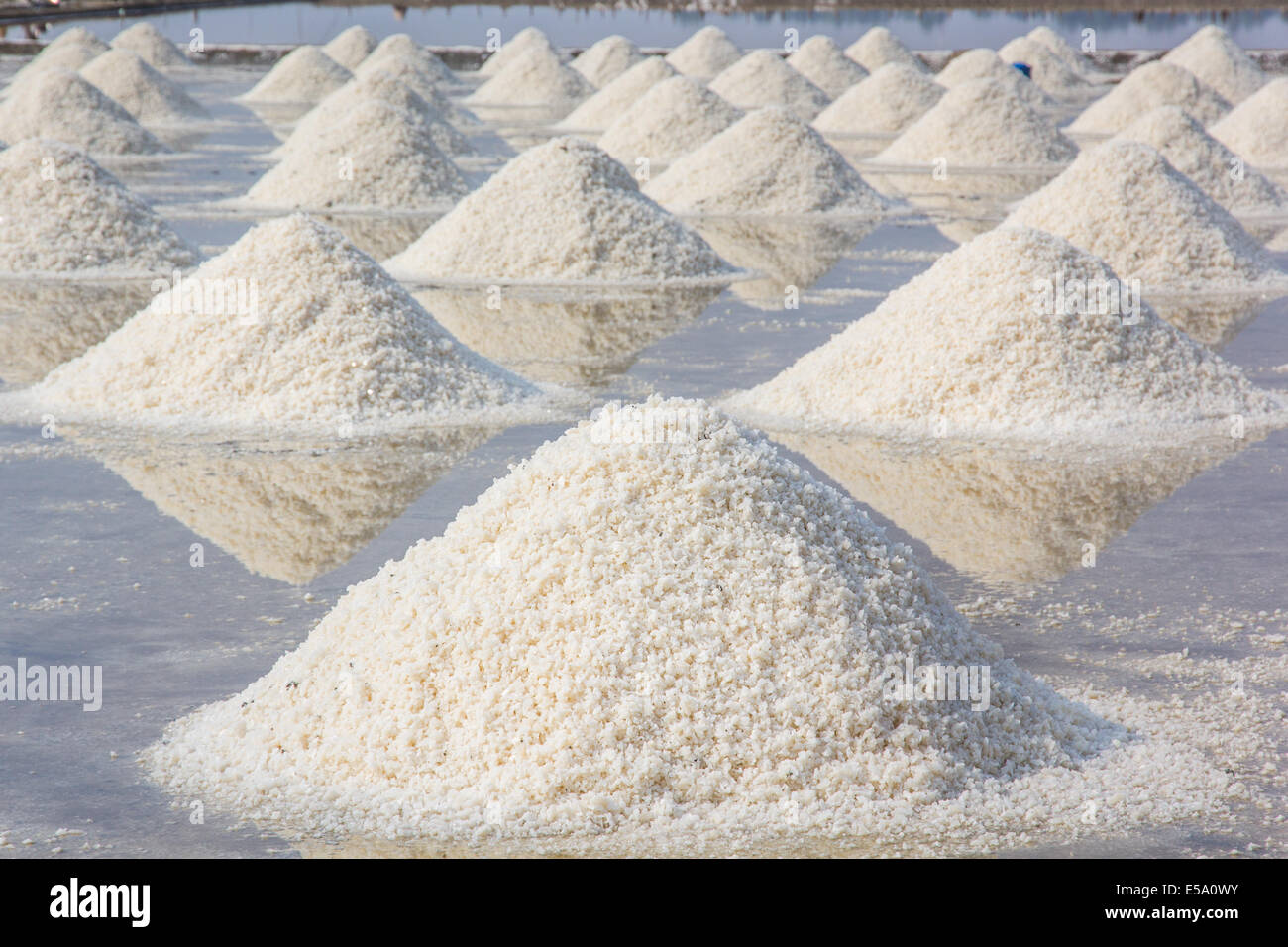 Heap of sea salt in a field prepared for harvest in Thailand Stock ...