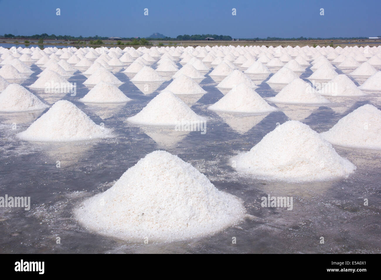 Heap of sea salt in a field prepared for harvest in Thailand Stock ...