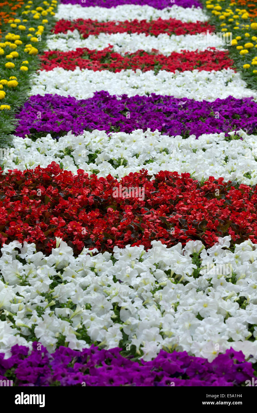 colorful background made of different flowers Stock Photo - Alamy