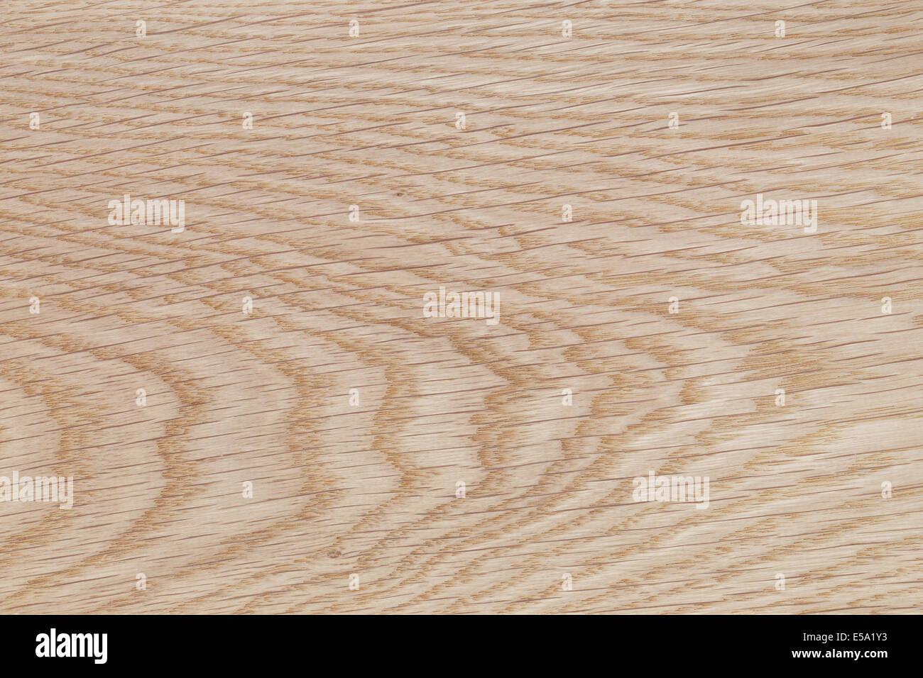 natural oak high detailed texture, for background Stock Photo - Alamy