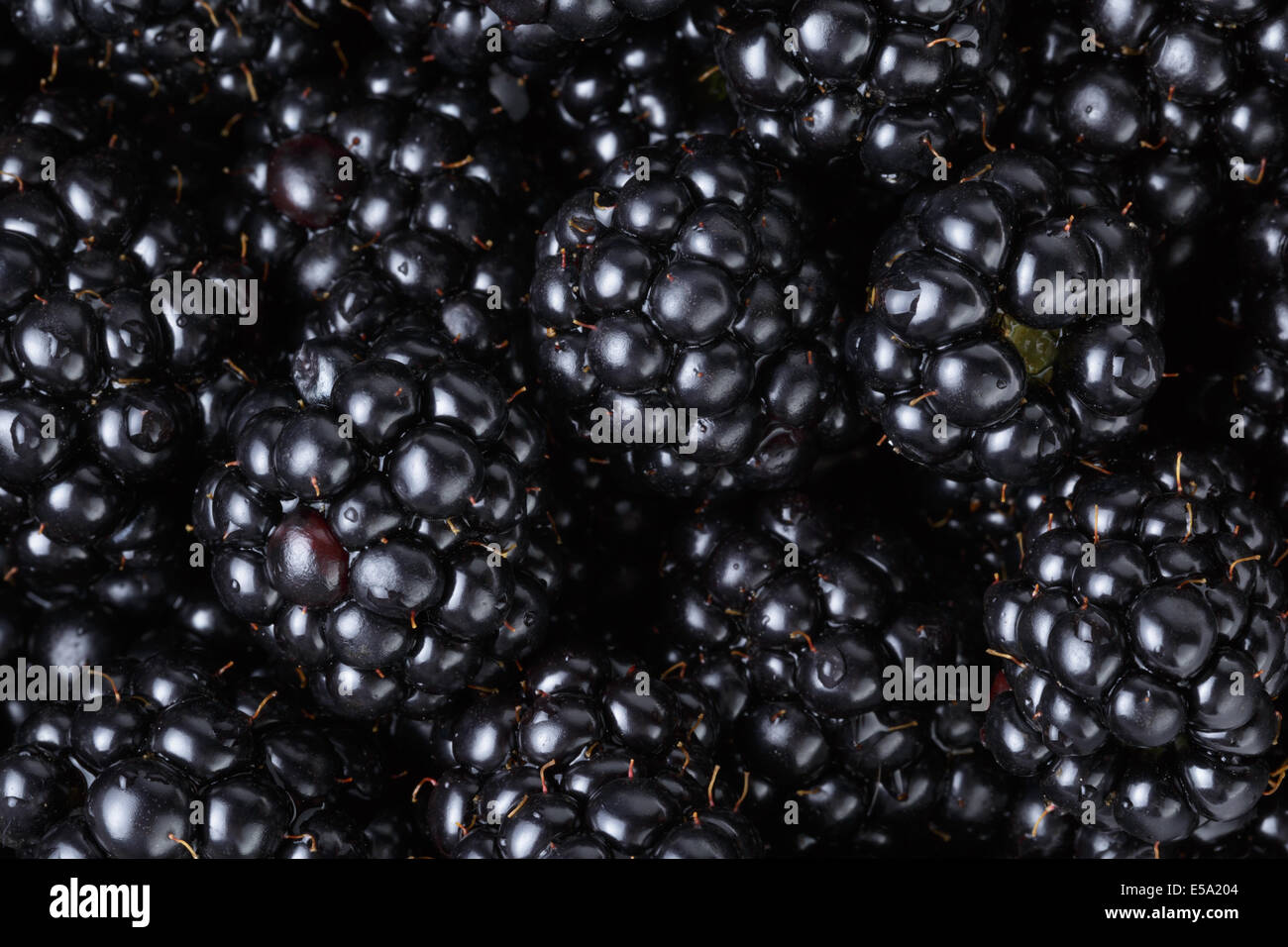 ripe organic blackberries close up, organic food background Stock Photo ...