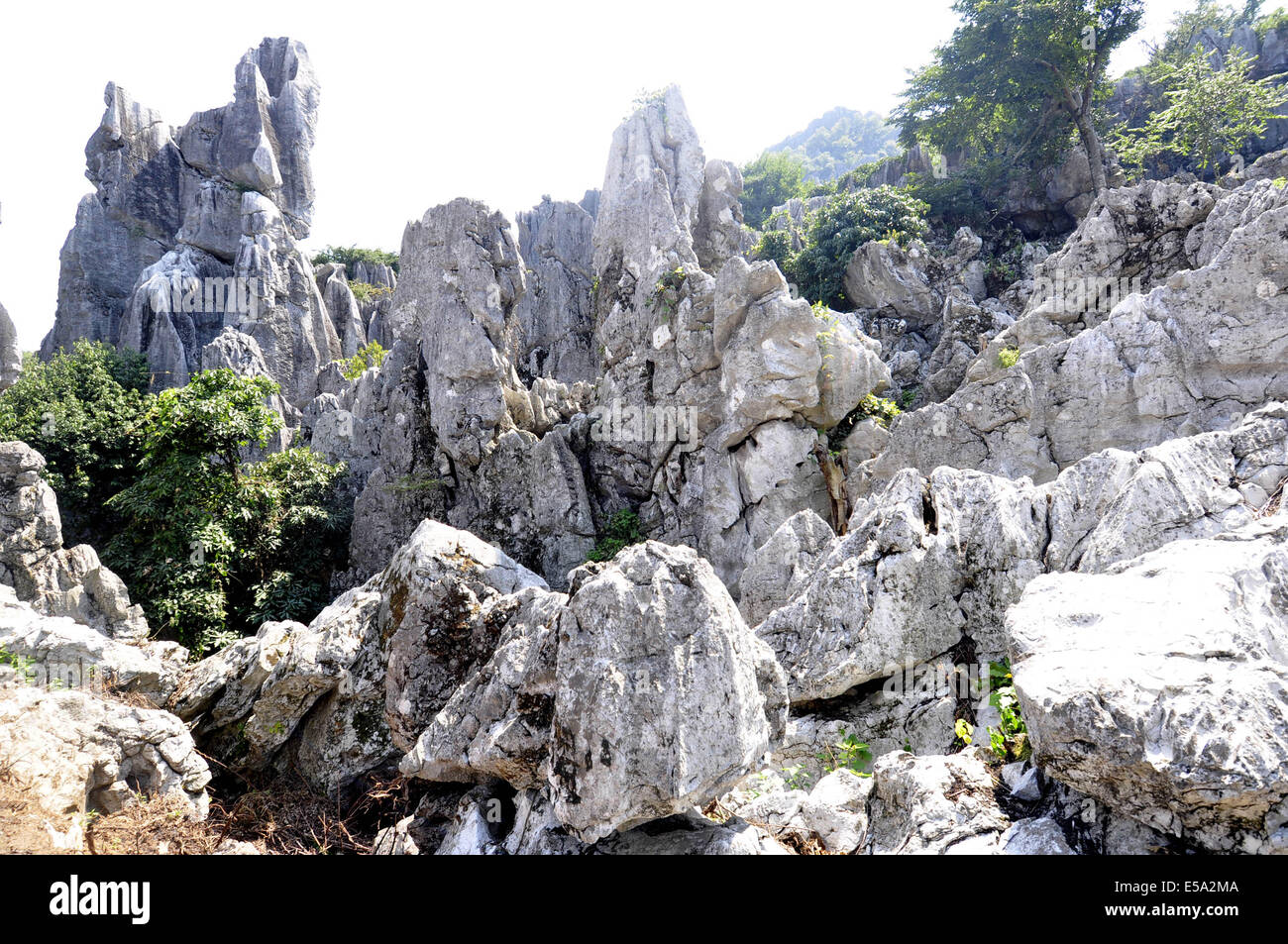 Look like a forest of pagodas hi-res stock photography and images - Alamy