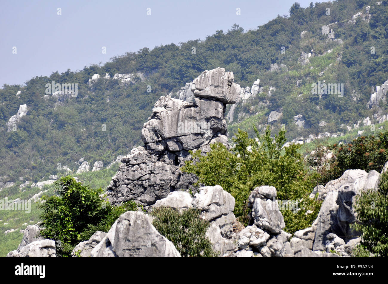 Permian period hi-res stock photography and images - Alamy