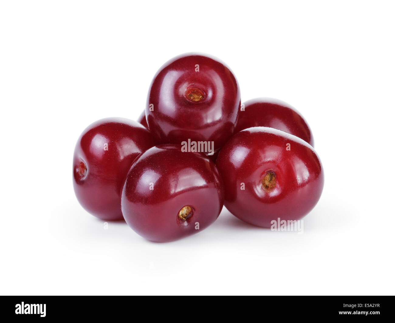Cherry red cherries with stems closeup fresh juicy fruit hi-res stock ...