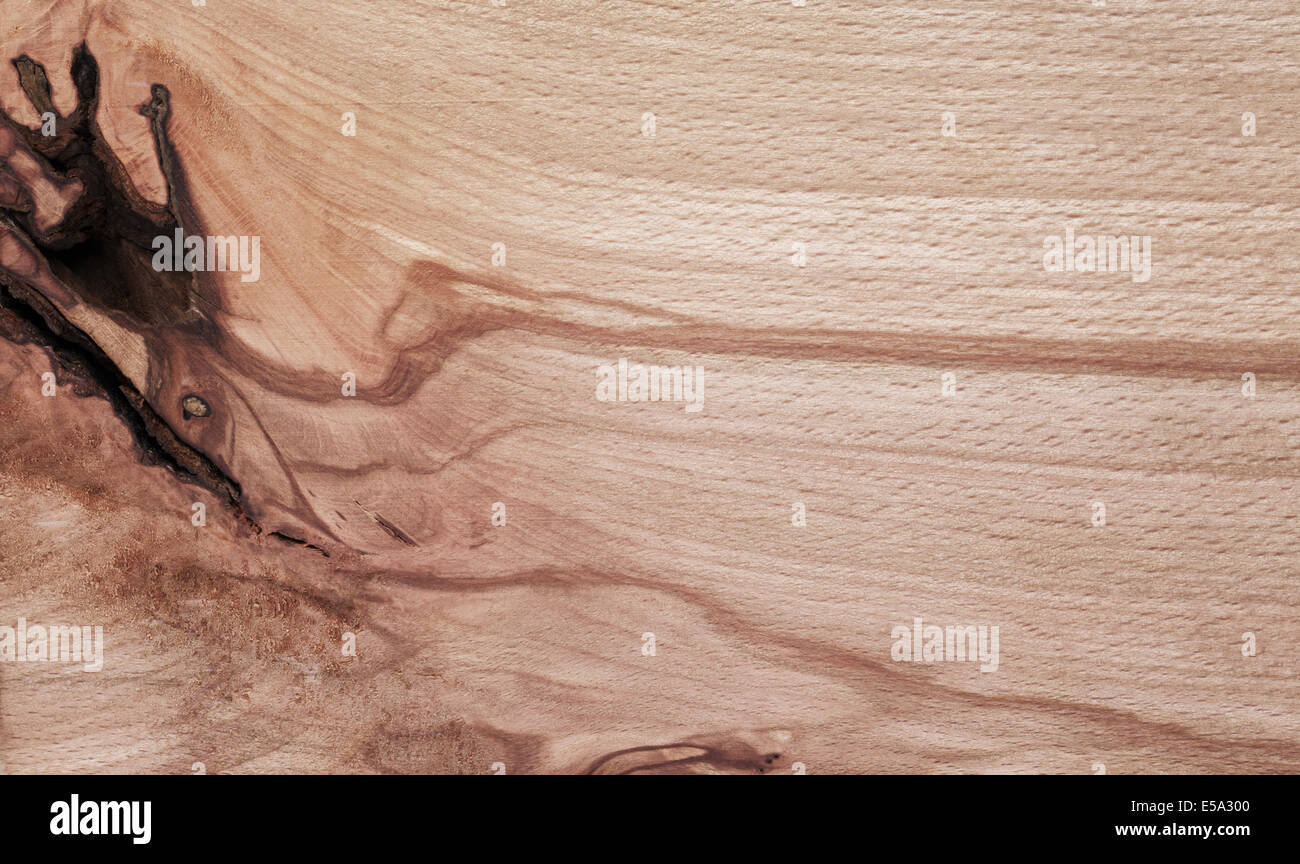 beech wood texture close up, good for background Stock Photo - Alamy