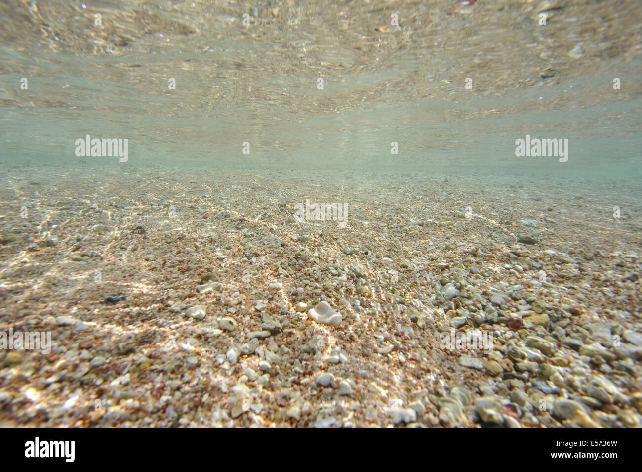 Underwater ocean scene in tropical sandy lagoon Stock Photo - Alamy