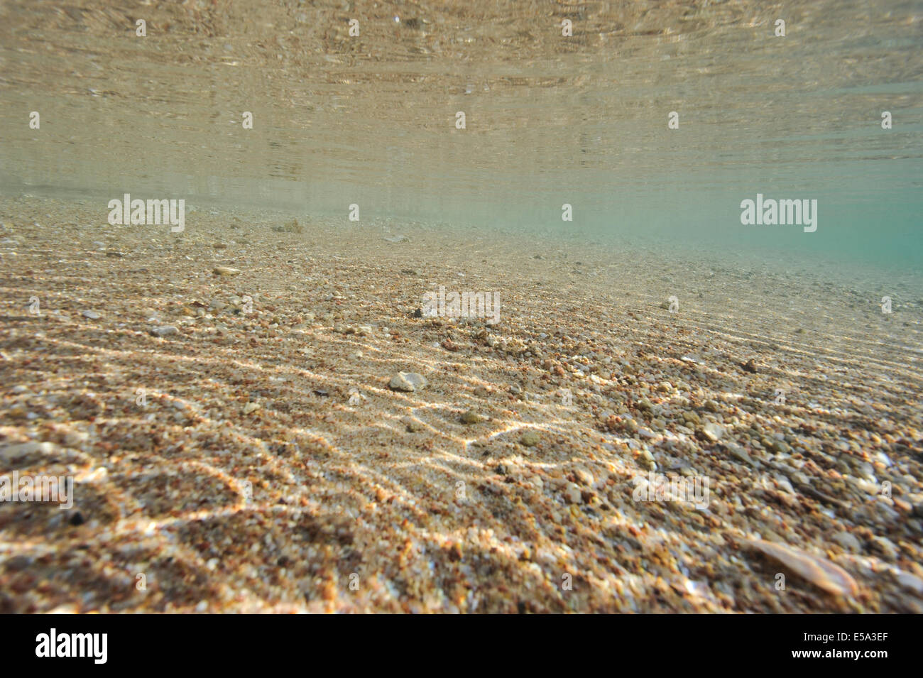 Underwater ocean scene in tropical sandy lagoon Stock Photo - Alamy