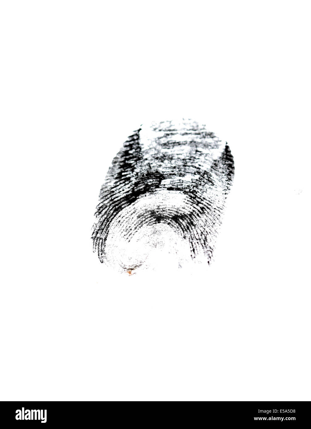 Fingerprint on abstract digital Cut Out Stock Images & Pictures - Alamy