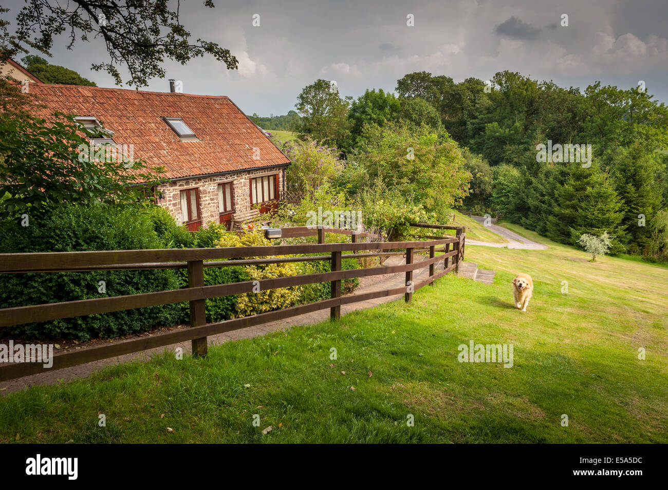 A rural summer scene in Devon, UK Stock Photo - Alamy