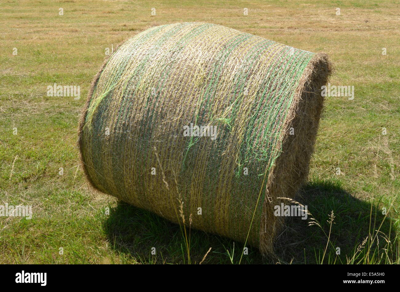 Round bale straw close hi-res stock photography and images - Alamy