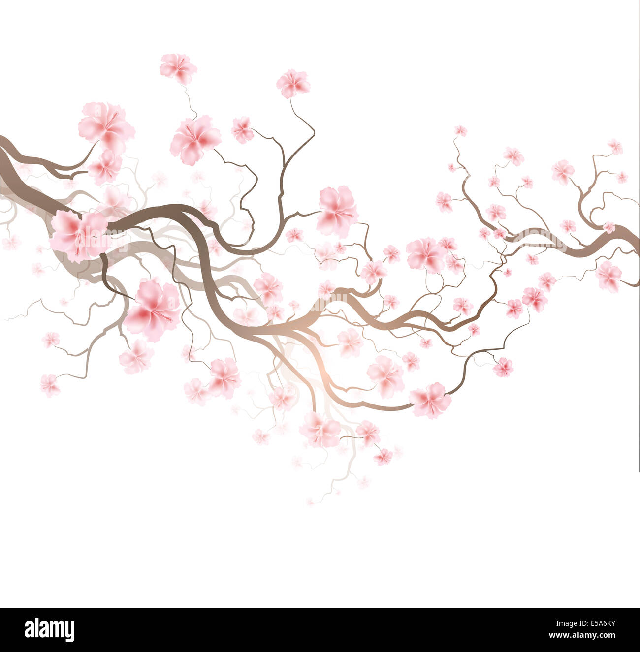 Design Background With Sakura Tree Stock Photo - Alamy