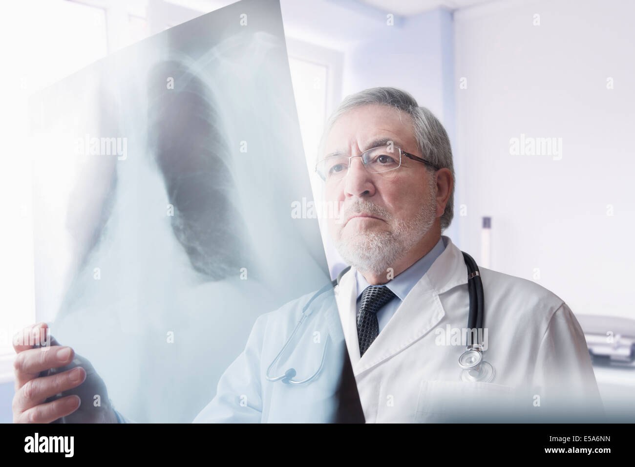 Doctor holding chest x ray hi-res stock photography and images - Alamy