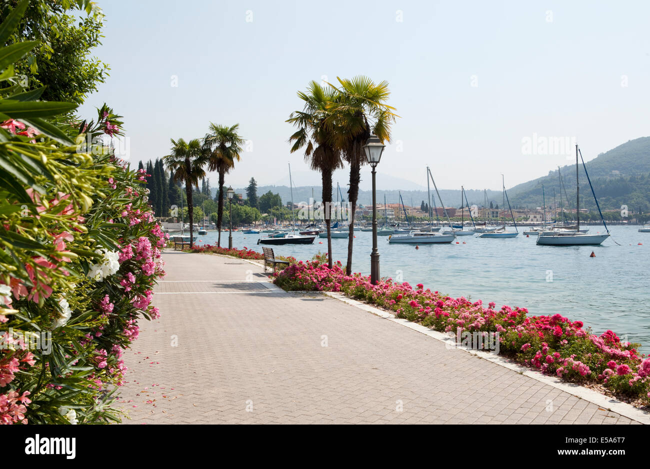 The lakeside promenade at Garda, on Lake Garda, Italy Stock Photo - Alamy