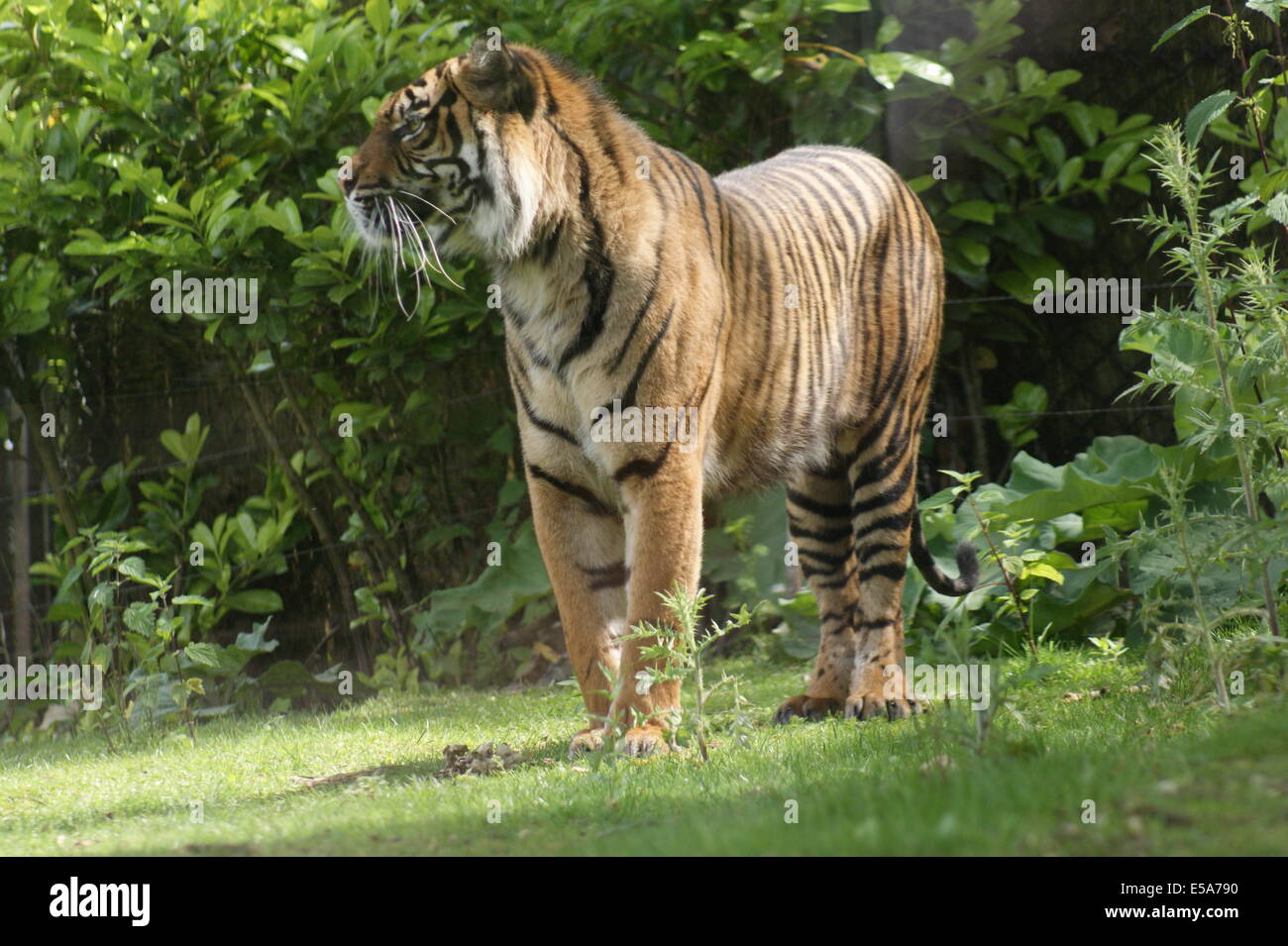 Burgers' Zoo Arnhem Stock Photo - Alamy