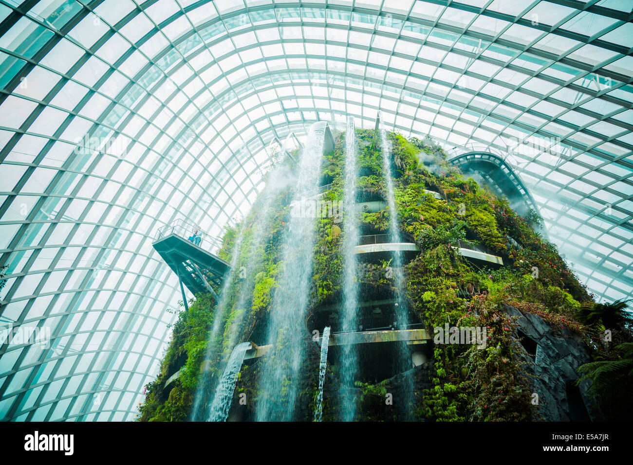Moss structure hi-res stock photography and images - Alamy