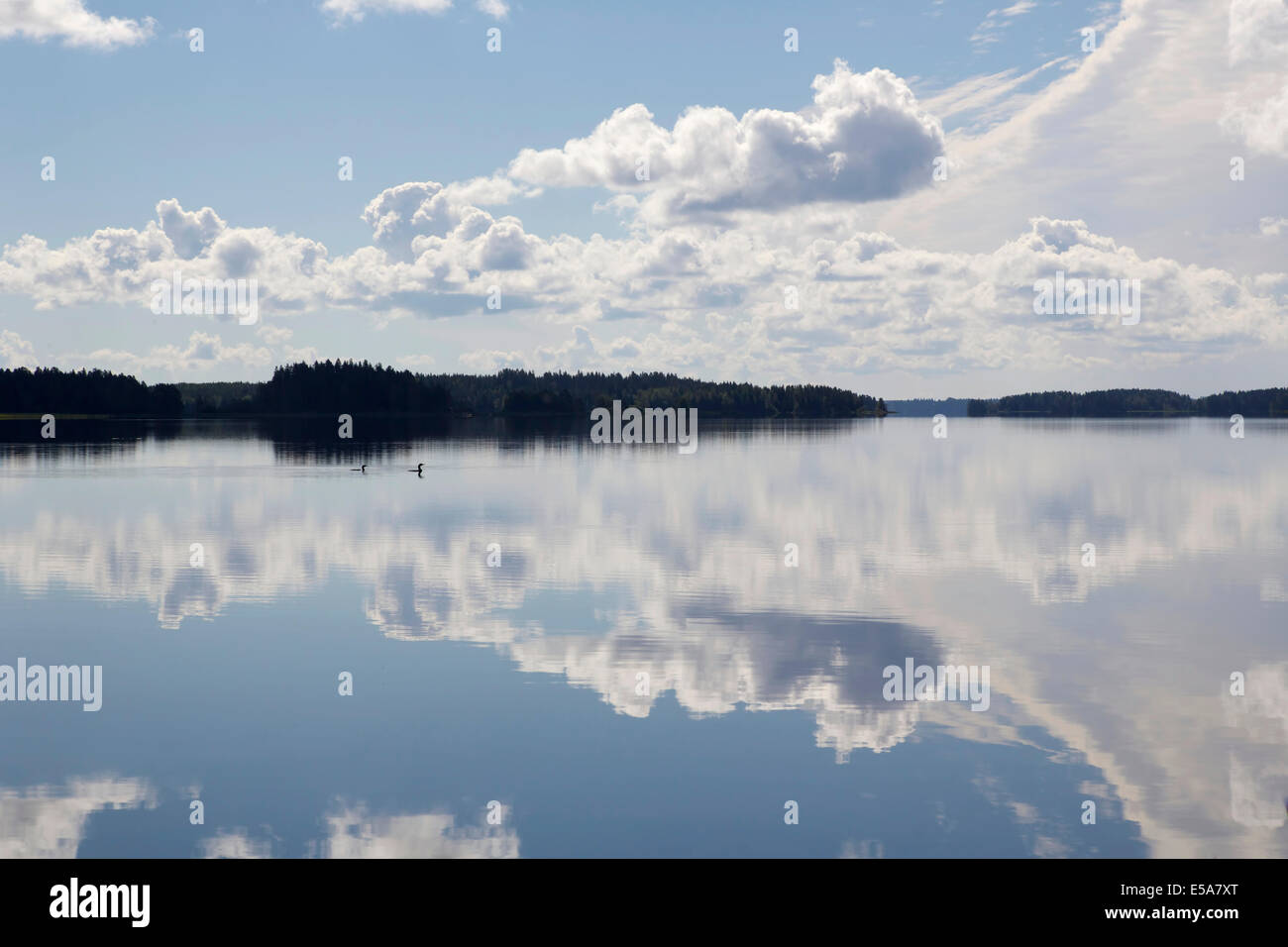 Lake scenery in summer in Finland Stock Photo - Alamy