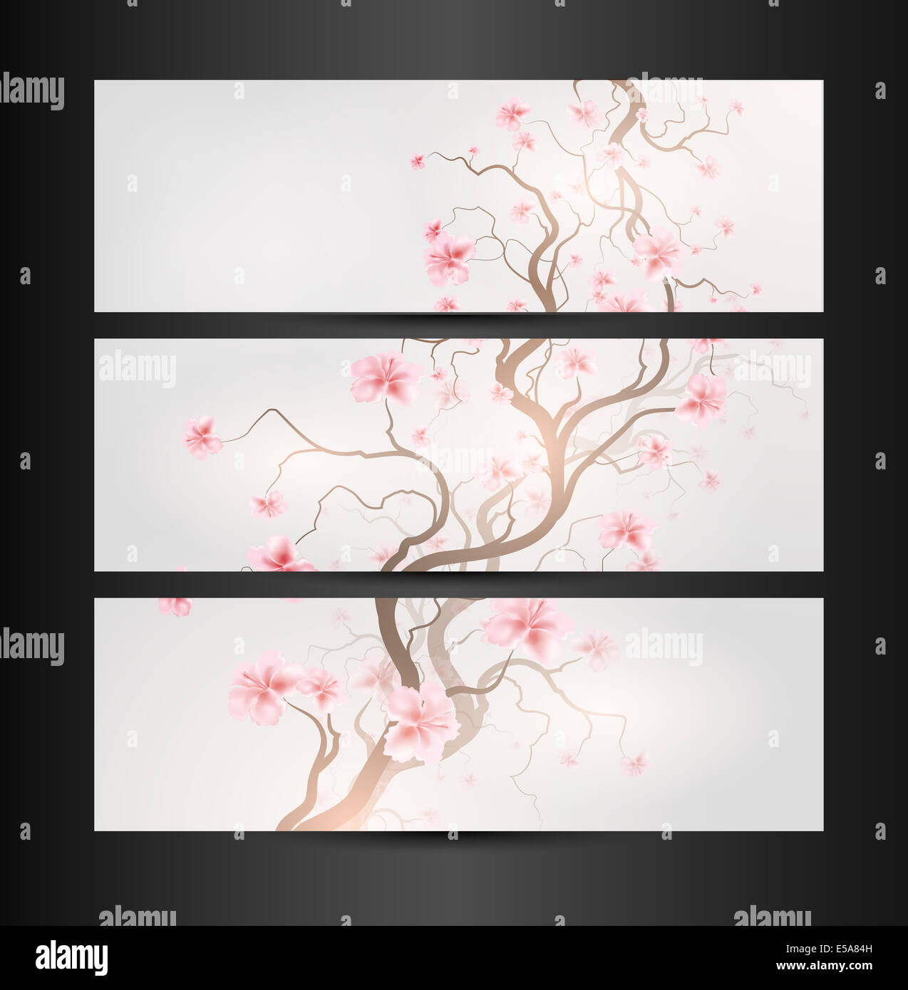 Sakura tree drawing hi-res stock photography and images - Alamy