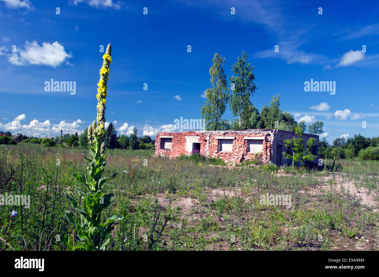 Old farm ruins hi-res stock photography and images - Alamy