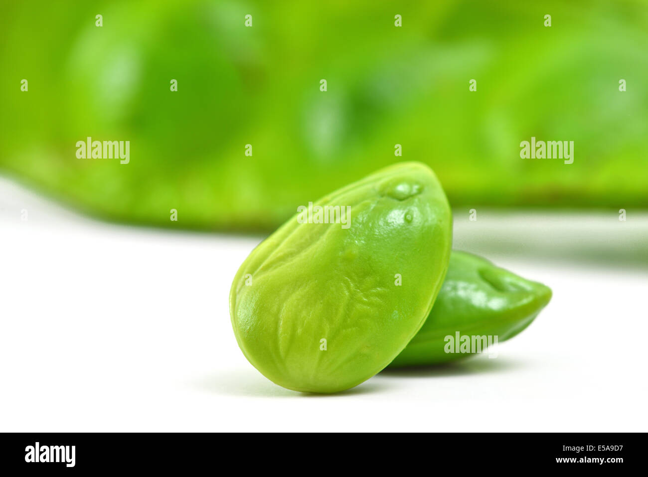 Parkia speciosa, Sato vegetables southern of Thailand Stock Photo - Alamy