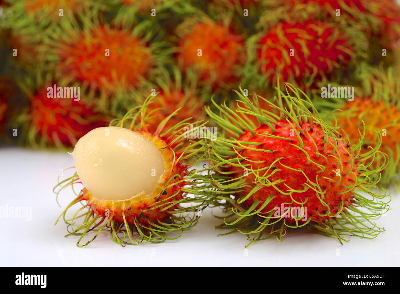 Rambutan orchard hi-res stock photography and images - Alamy