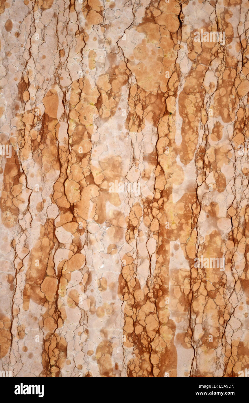 Surface level macro hi-res stock photography and images - Alamy