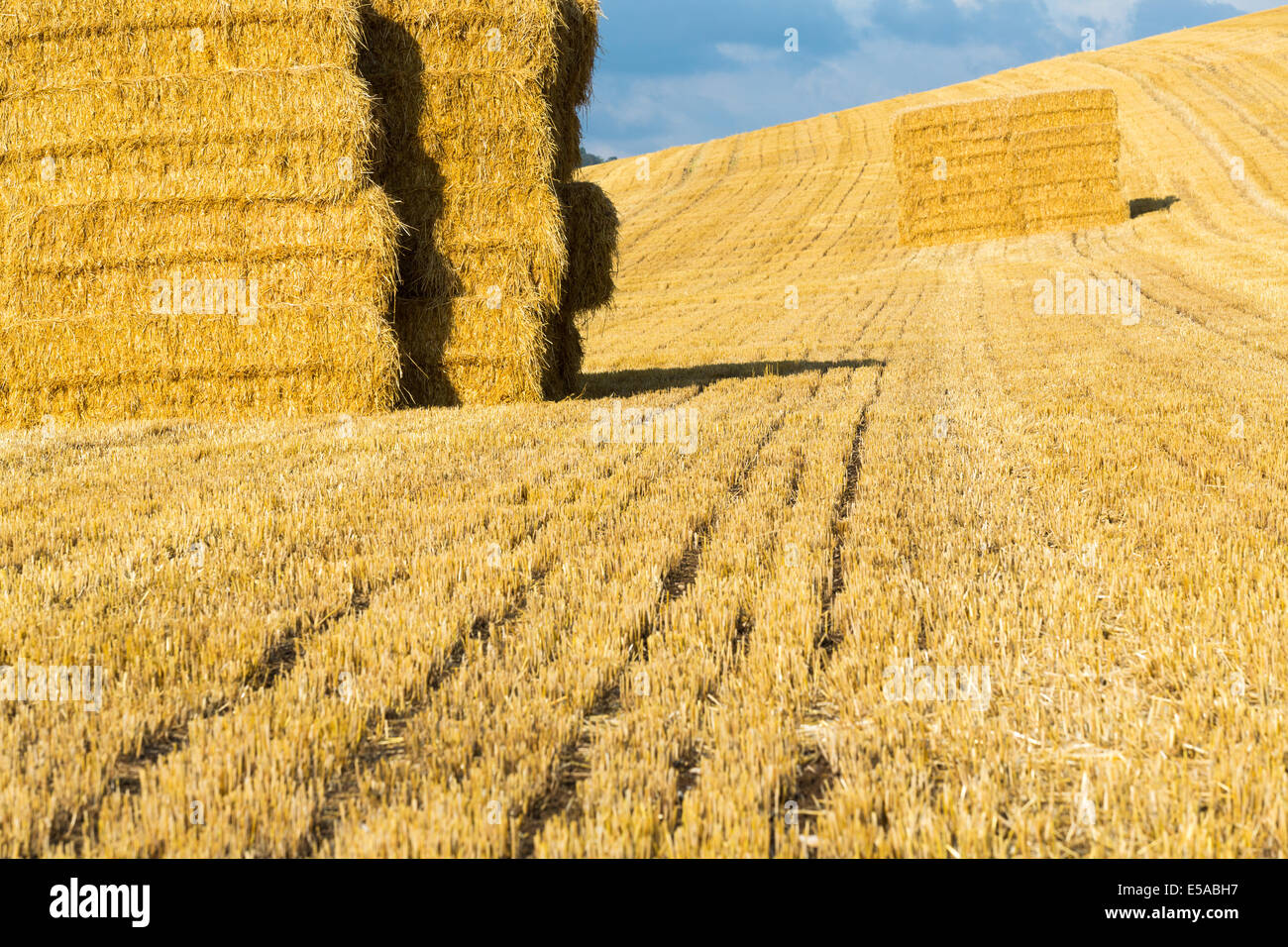 Close up view bale hay hi-res stock photography and images - Alamy