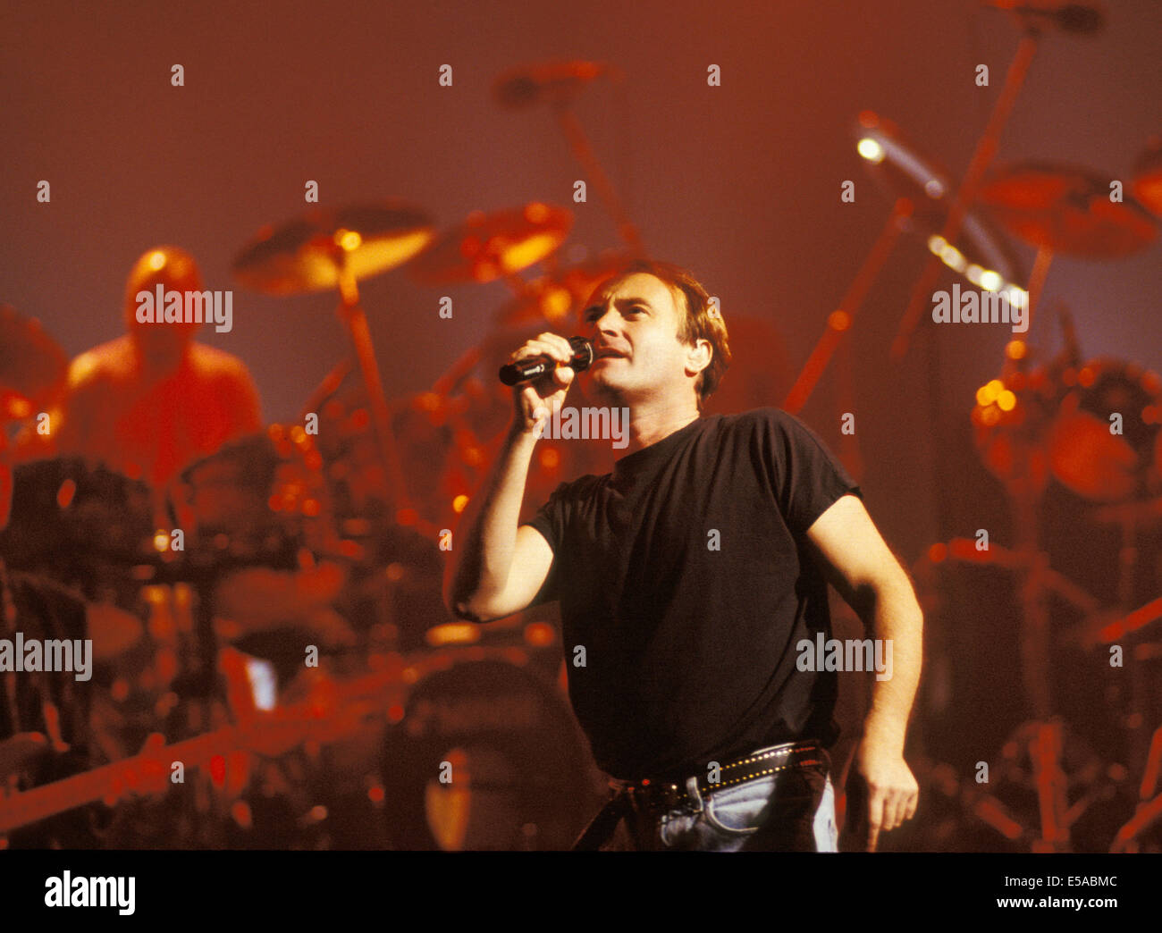 PHIL COLLINS UK musician about 1982 Stock Photo - Alamy
