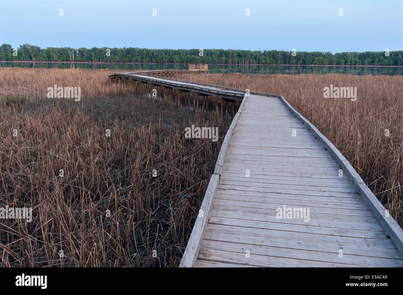marsh and boardwalk along minnesota river in minnesota valley national ...