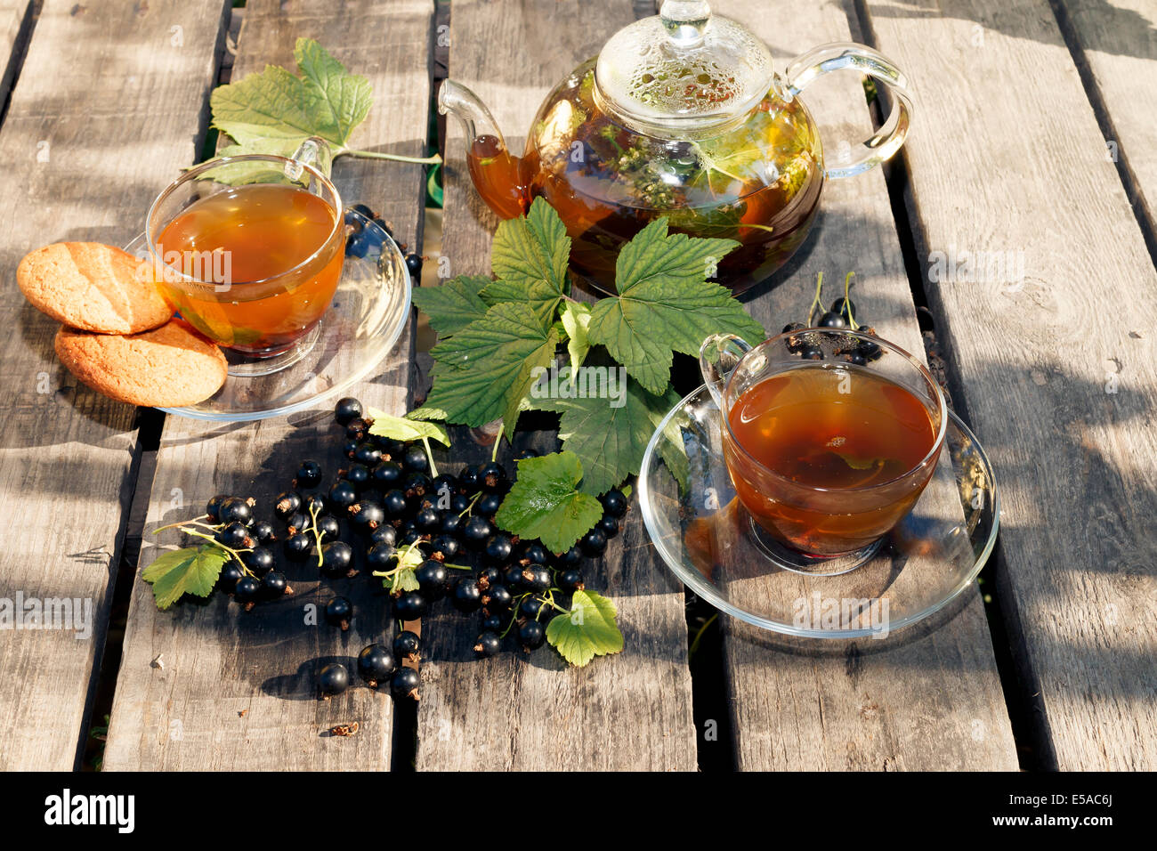 Black currant leaves hi-res stock photography and images - Alamy