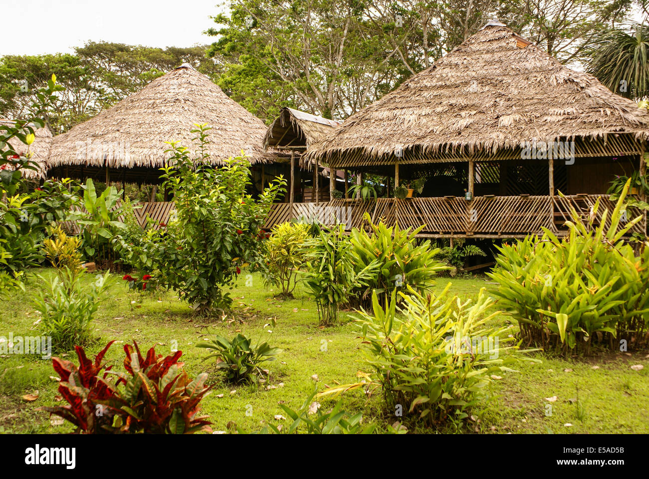 Peru, Peruvian Amazonas landscape. The photo present typical indian ...